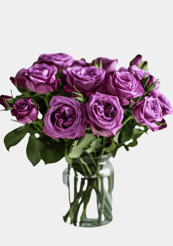 Purple Spray Roses | Zovi Cakes